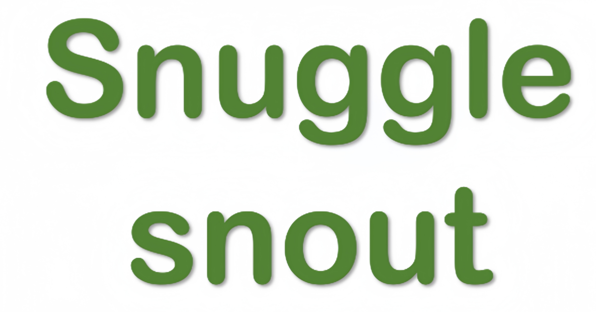 DIY pet toys you can make at home – Snuggle Snout